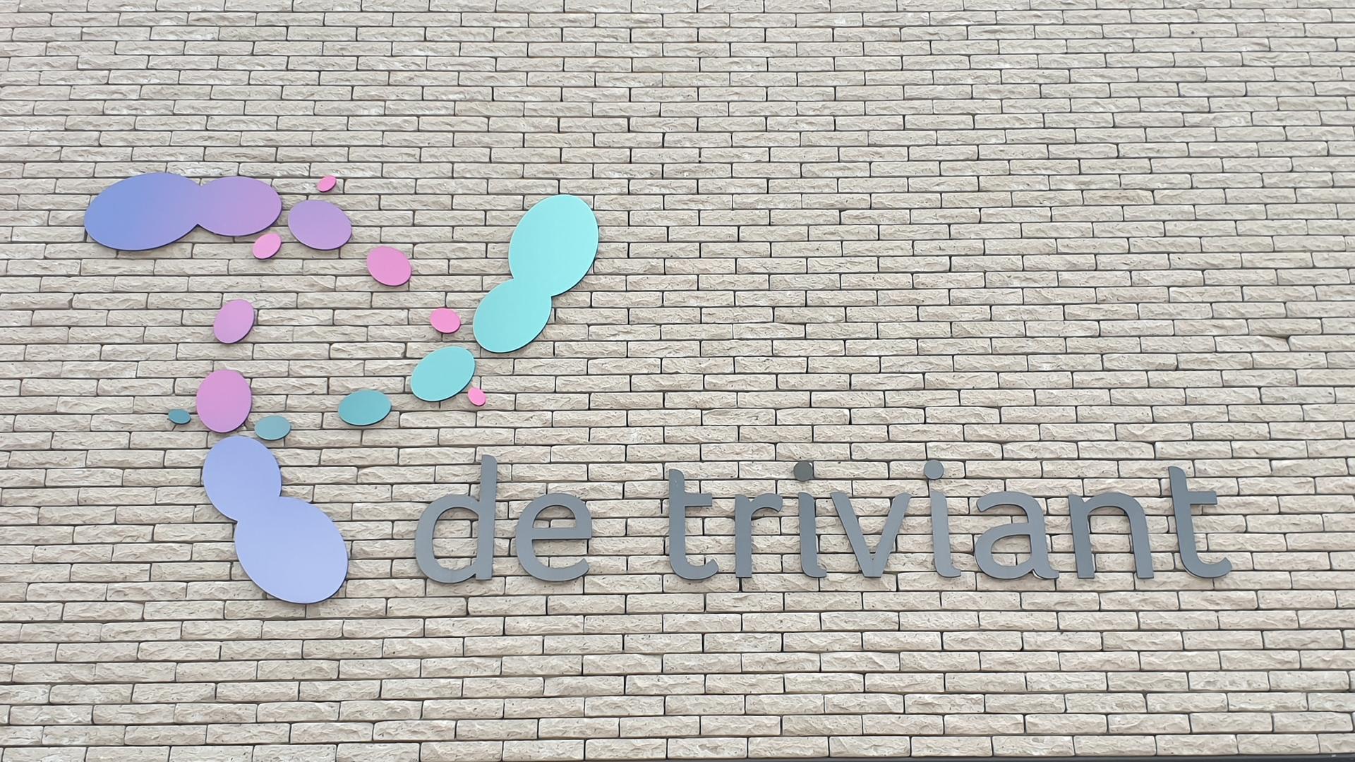 De naam het logo | IKC de Triviant